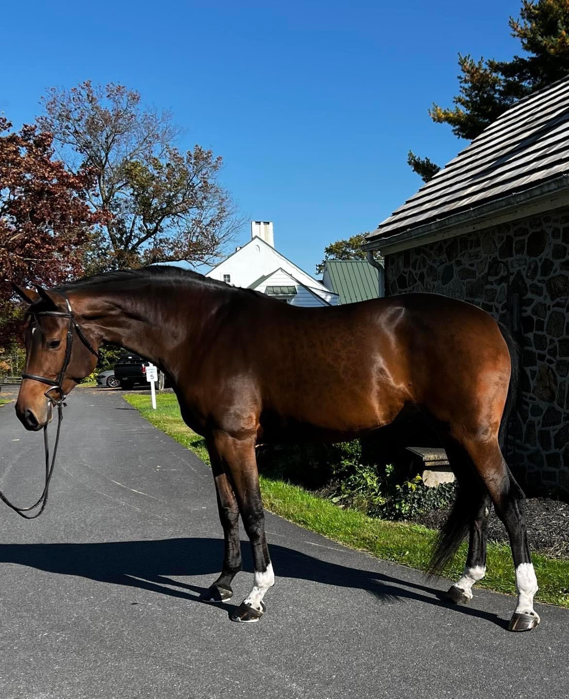 Be Easy – Saddle Lake Equestrian Center