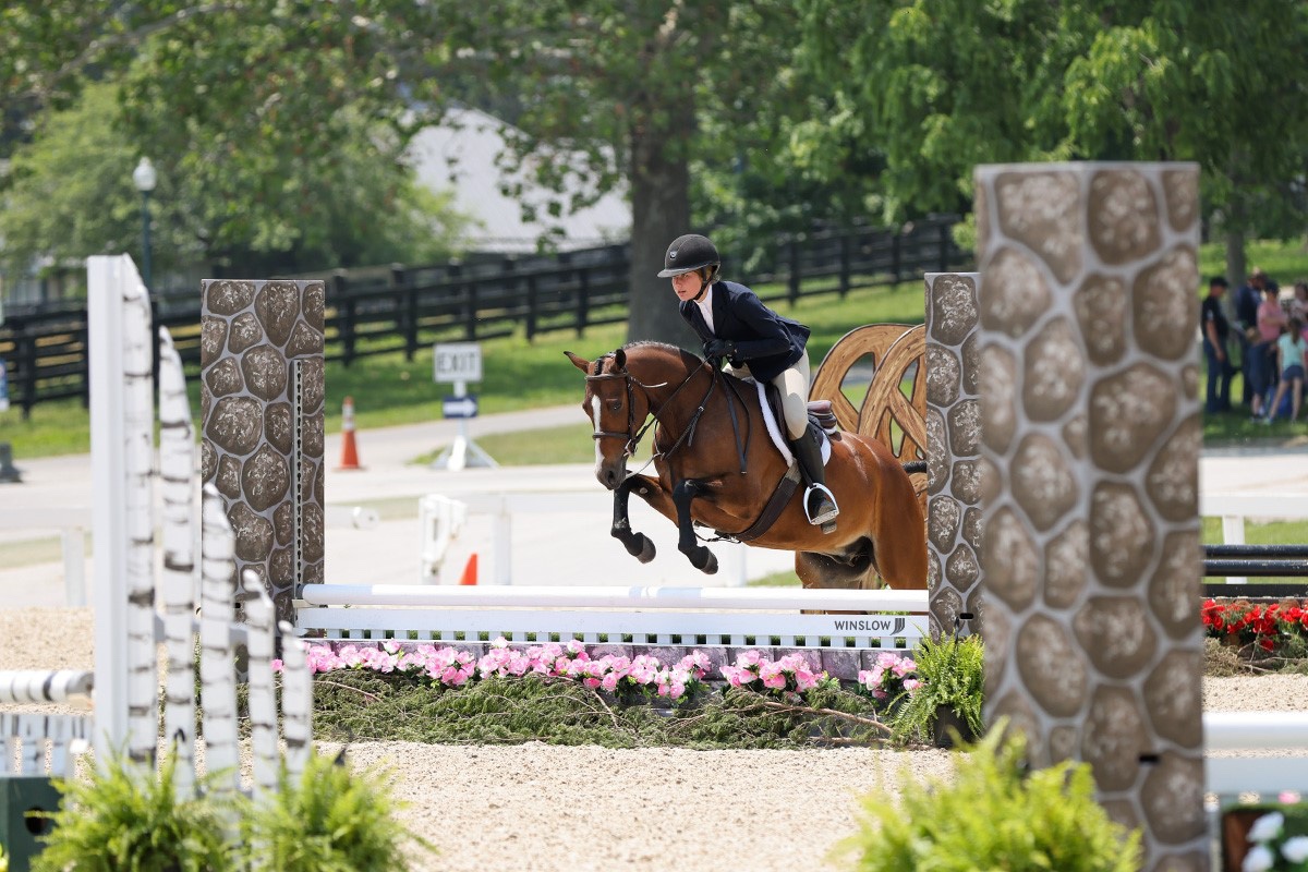 Royal Allure – Saddle Lake Equestrian Center