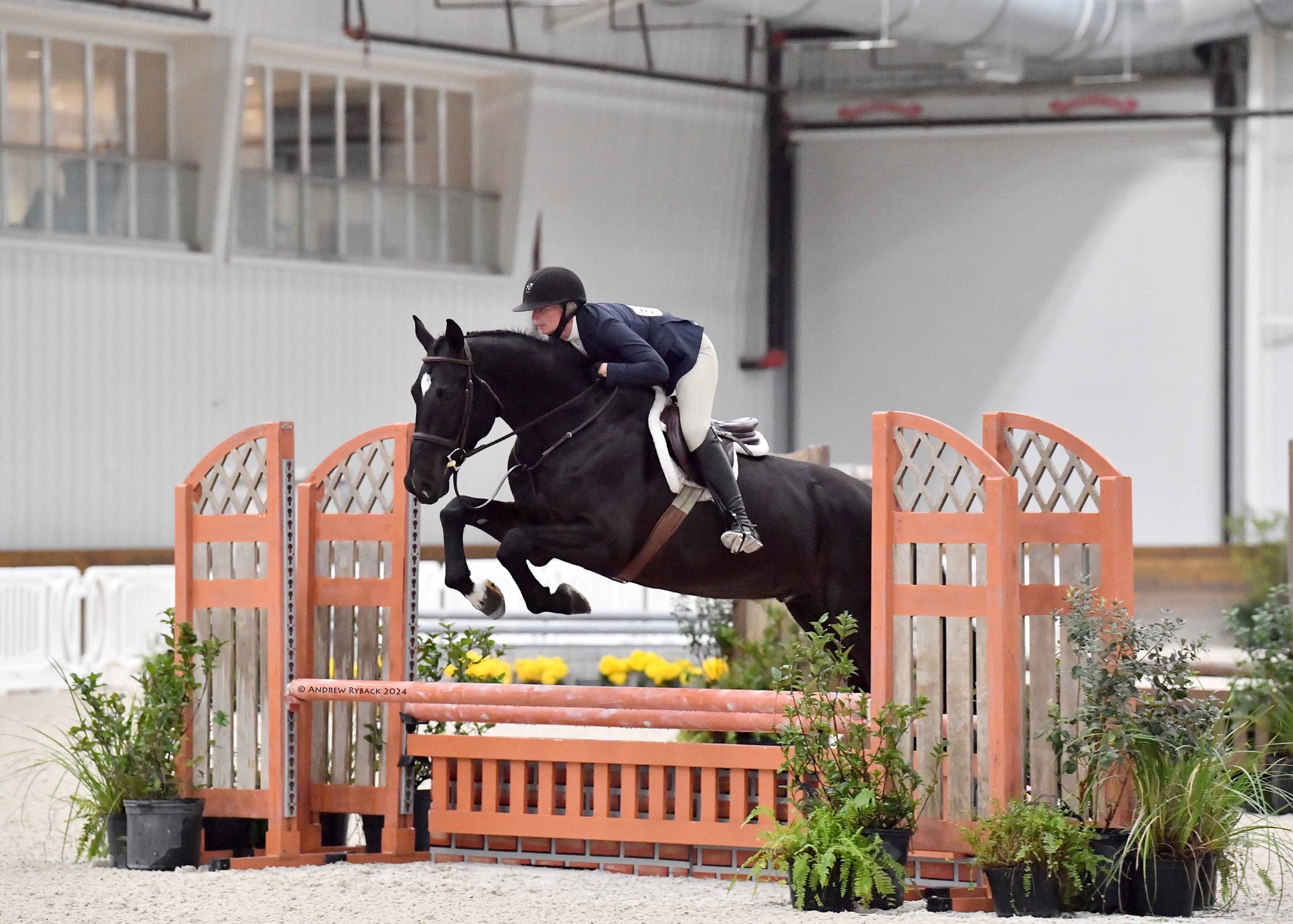 Notable SL – Saddle Lake Equestrian Center